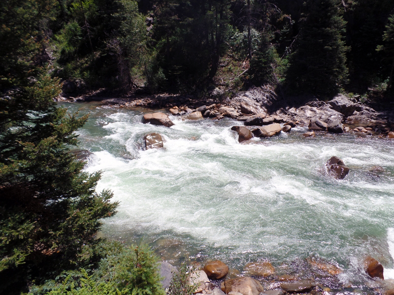 ASAM_2564 – Mr. Skipper