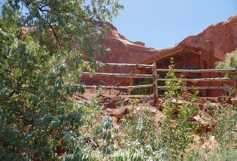 ASAM_1429 – Mr. Skipper